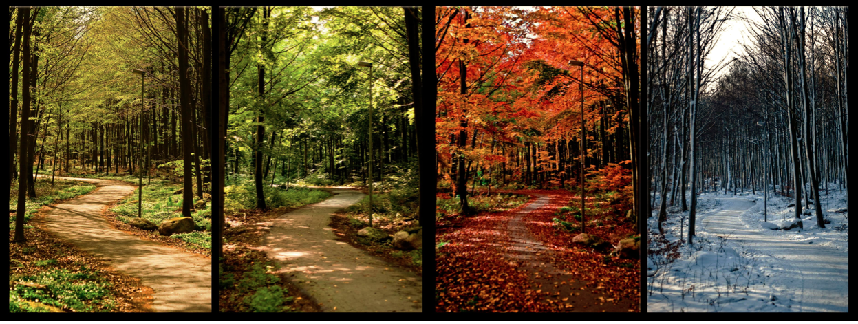 Is It Possible to Map Out Your Midlife Transformation?